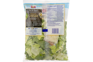 Dole Salad Kit Ultimate Caesar Dole(71430017029): customers reviews ...