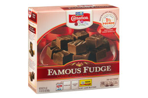 Nestle Carnation Famous Fudge Kit Classic Chocolate Nestle(50000622511 ...