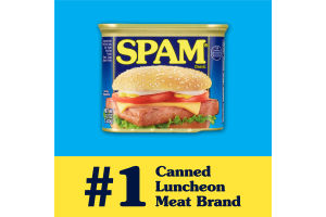 Spam Classic, 12 Ounce Can Spam(37600138727): customers reviews ...