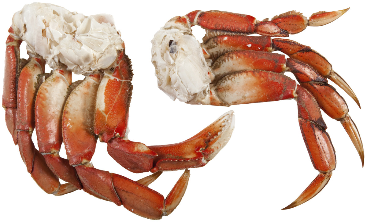 Dungeness Crab Clusters USDA Seafood(208657000002): customers reviews ...
